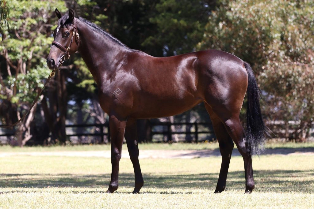 Moor Mumm - Dan O'Sullivan Racing